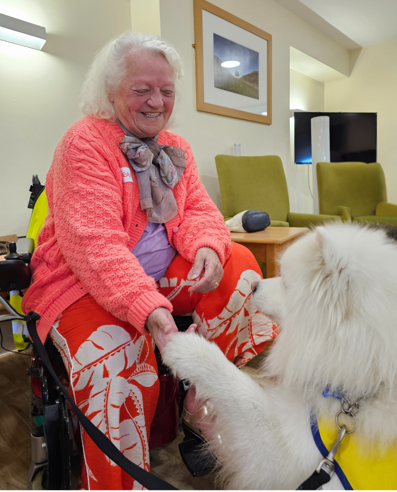 Loki the Therapy Dog! - St Cuthbert's Hospice